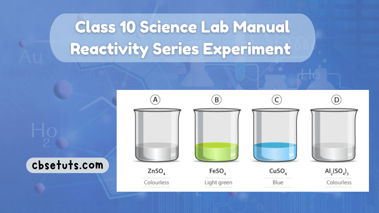 Reactivity Series Experiment Class 10 Practical Science NCERT - CBSE Tuts